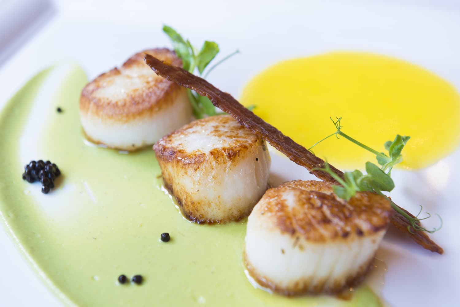 Hudson Table | PHILADELPHIA CLASS & EVENT SCHEDULE